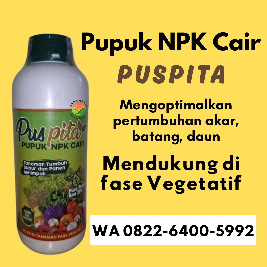 TERPERCAYA!!!WA0822-6400-5992, Distributor pupuk npk untuk buah Blitar, Pabrik pupuk npk untuk ...
