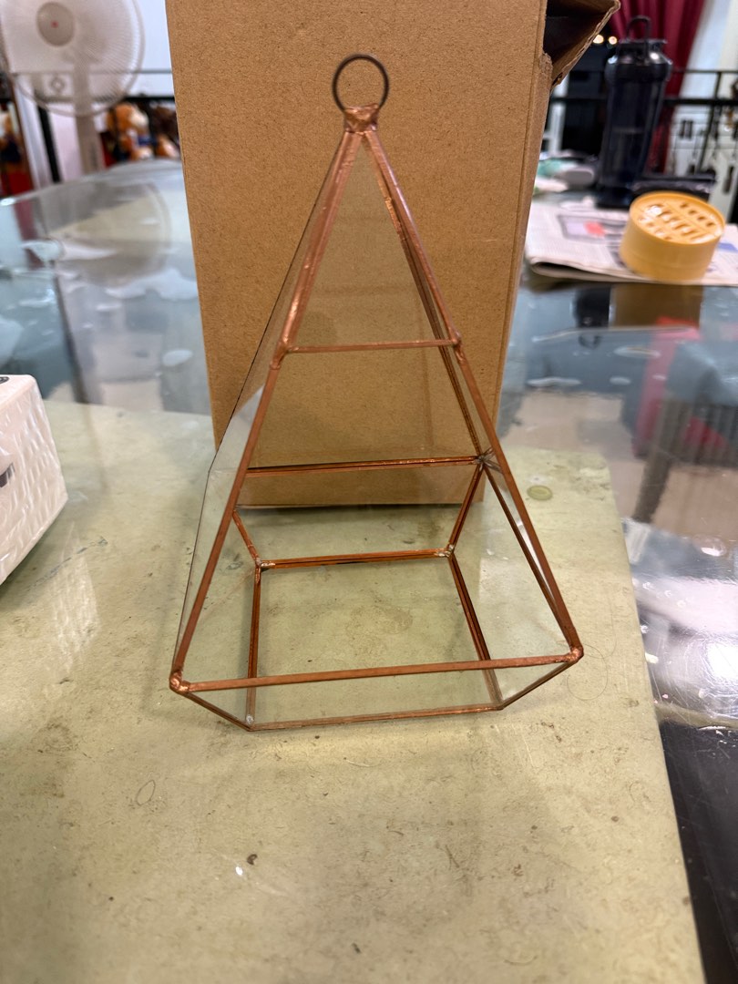 Terrarium Glass display on Carousell