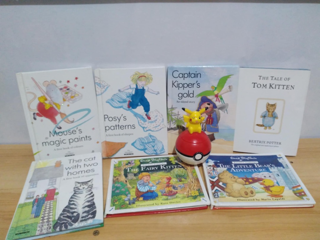 MINI BOOK BUNDLE (HARDBOUND), Hobbies & Toys, Books & Magazines ...