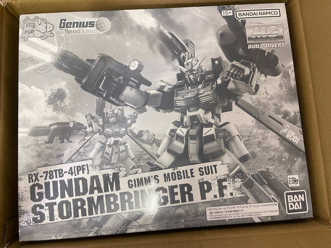 New PB MG Gundam Stormbringer Pf, Hobbies & Toys, Toys & Games on Carousell