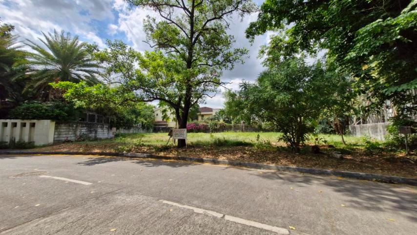 NOT TUMBOK AND NOT PERIMETER! VACANT LOT FOR SALE IN VALLE VERDE 6 ...