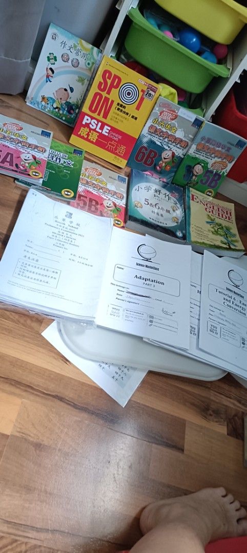Take all PSLE bundle, Garage Sale on Carousell