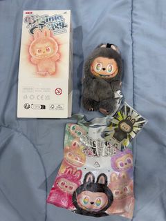 Authentic Labubu Secret V1, Hobbies & Toys, Toys & Games on Carousell