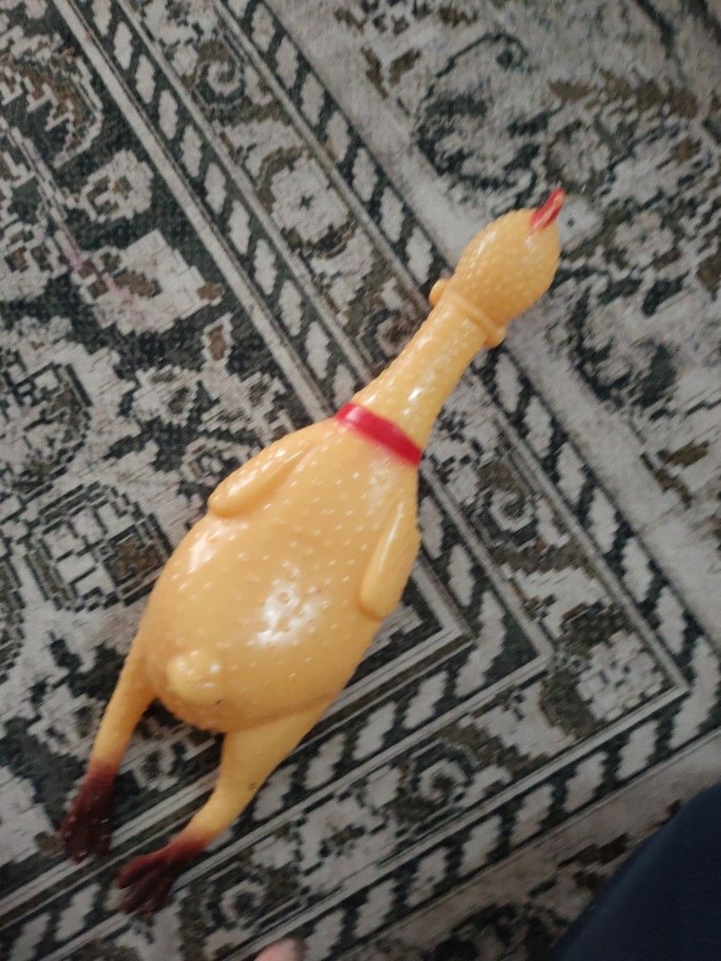 Chicken loud sound, Hobbies & Toys, Toys & Games on Carousell