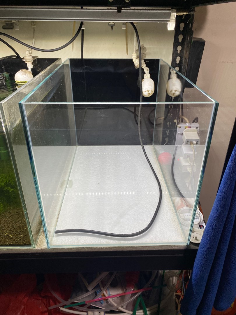 Crystal glass tank, Pet Supplies, Homes & Other Pet Accessories on ...