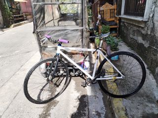 Fixie For Sale | Buy 100+ Fixie online | Carousell Philippines
