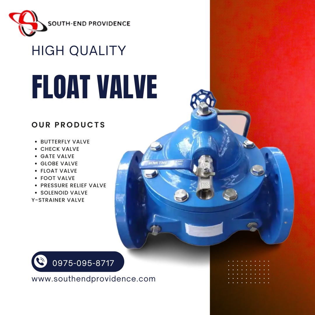 Float Valve, Flanged Ends Class 150 Check Valve / Kitz Thread Check ...