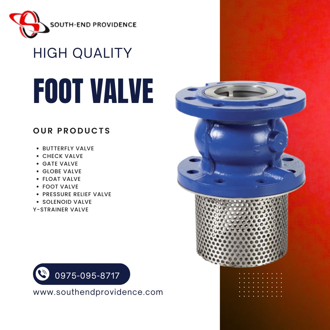 Foot Valve, Swing Type Check Valves / Cast Bronze Flanged End Check ...