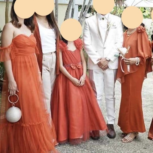 Rust / Burnt Orange Tulle Flower Girl Formal Dress Gown, Babies & Kids ...