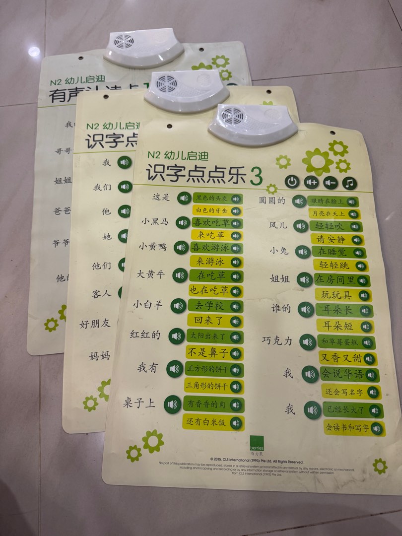 Berries Chinese Lesson Tools $25 for all, Everything Else on Carousell