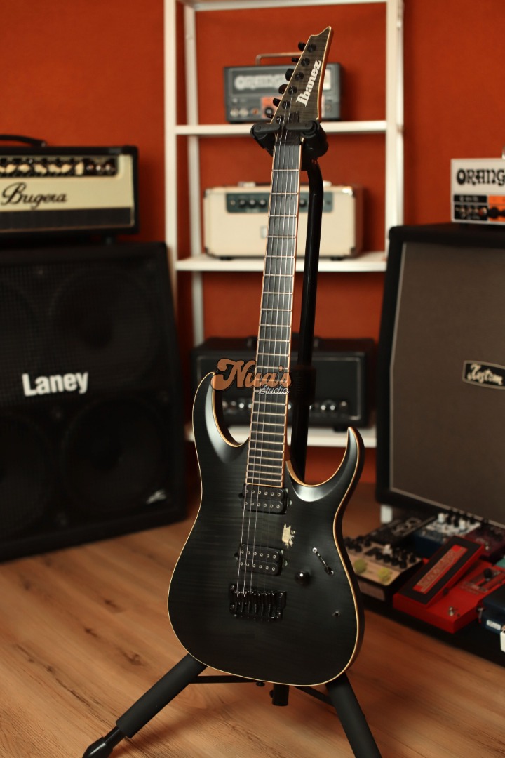 IBANEZ RGA IBANEZ IRON LABEL RGAIX6FM TRANSPARENT GRAY FLAT, Hobbies ...