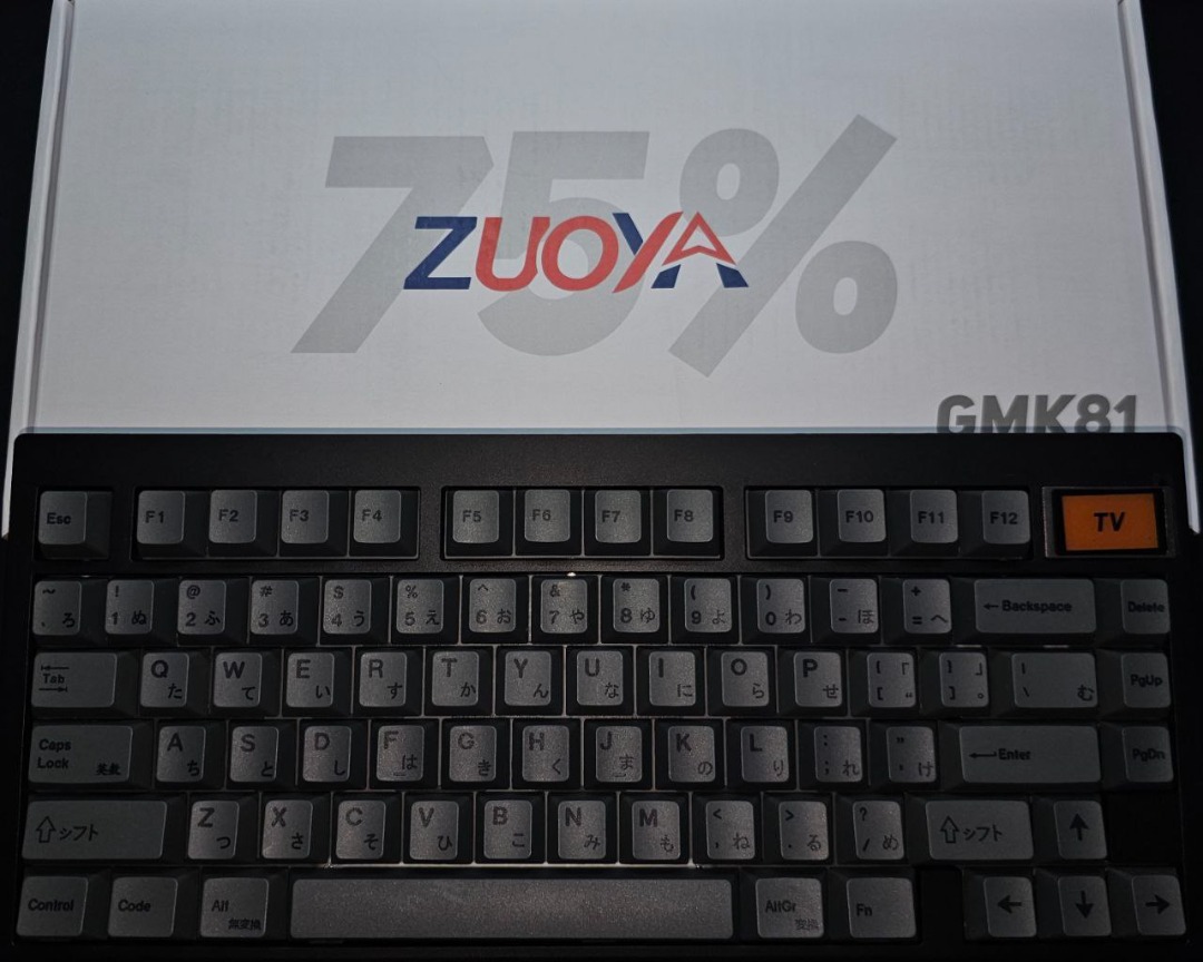Zuoya GMK81 (Black) Custom Mechanical Keyboard, Computers & Tech, Parts ...