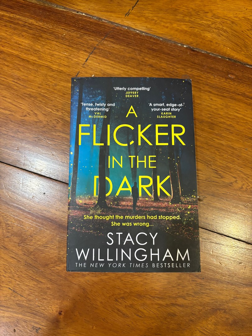 A flicker in the dark by stacy willingham, Hobbies & Toys, Books ...