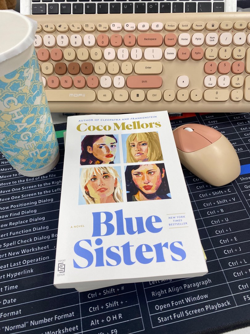 Blue Sisters - Coco Mellors ., Hobbies & Toys, Books & Magazines ...