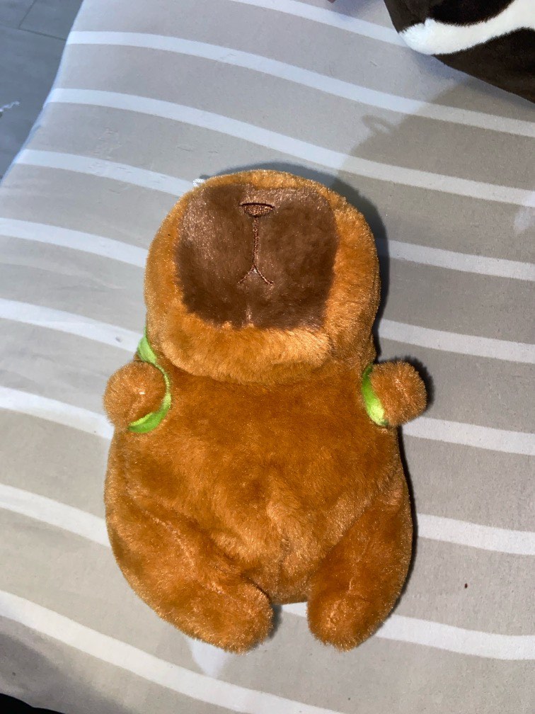Capybara bear, Hobbies & Toys, Toys & Games on Carousell