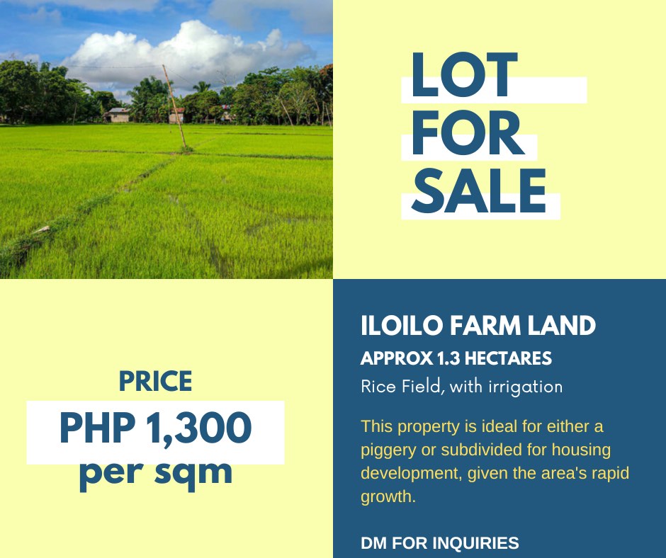 lot for sale miagao iloilo - View all lot for sale miagao iloilo ads in ...