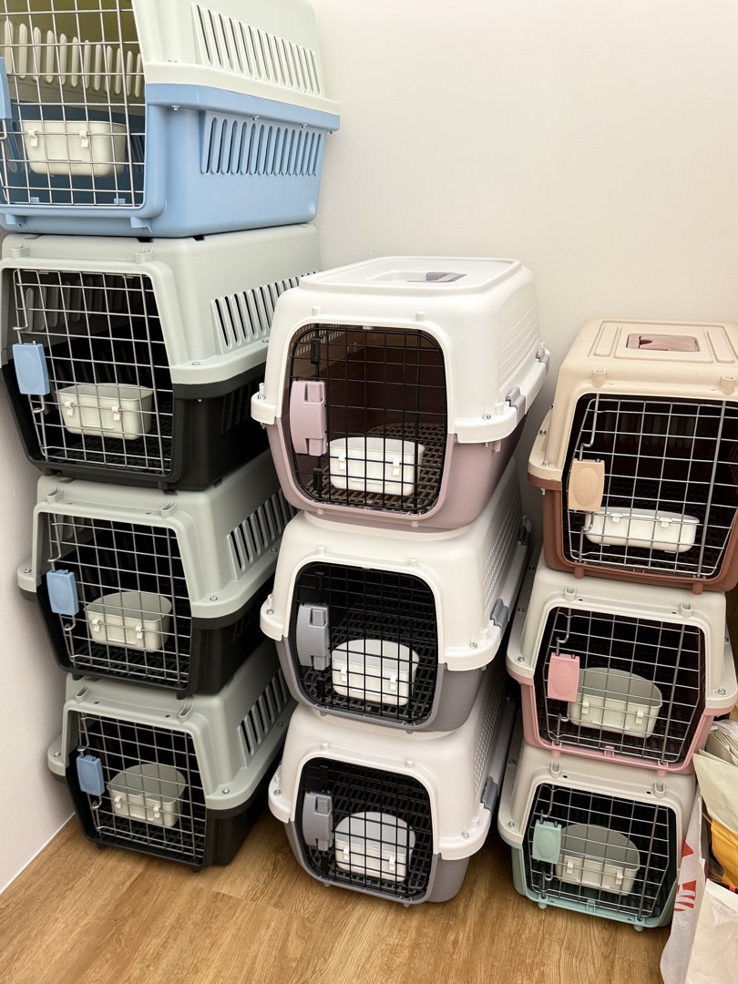 Pet Hard Carrier, Pet Supplies, Homes & Other Pet Accessories on Carousell