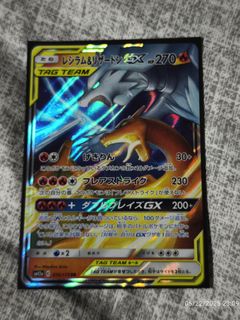 tetsunoibara pokemon