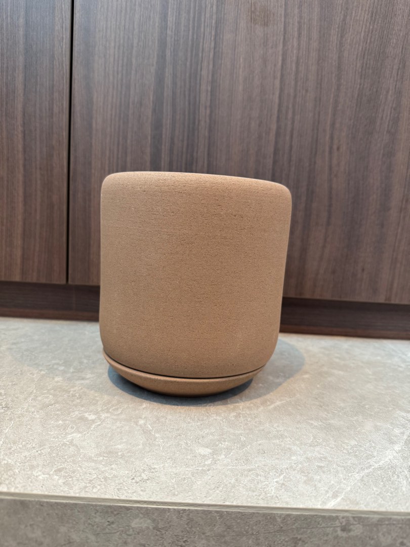 Cactus Caudex Pot soilboy Sprout Signature, Furniture & Home Living ...