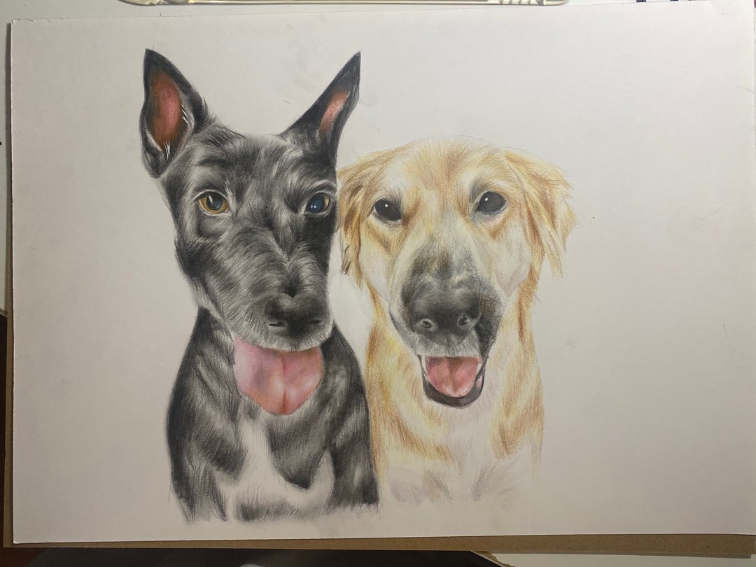 custom pencil portrait drawing, Hobbies & Toys, Stationery & Craft, Art ...