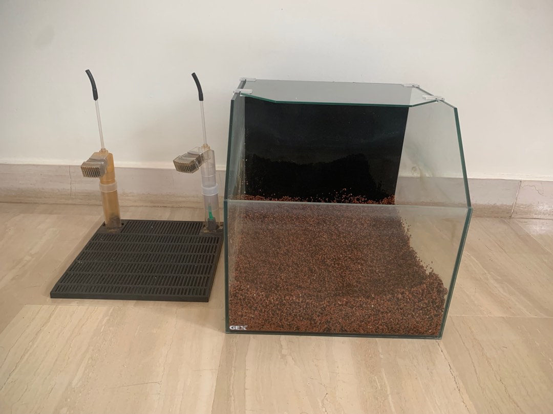 Gex glassterior 30cm cube paludarium tank, Pet Supplies, Homes & Other Pet Accessories on Carousell