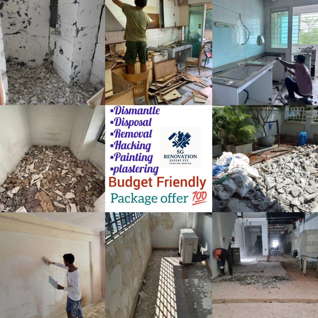 Hacking, Plastering, Dismantle & Disposal service, vinny floor remove ...