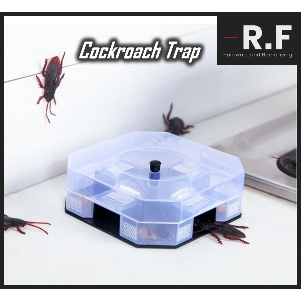 Kotak Perangkap Lipas Boleh Digunakan Semula Penangkap Pembunuh Sisipan ...