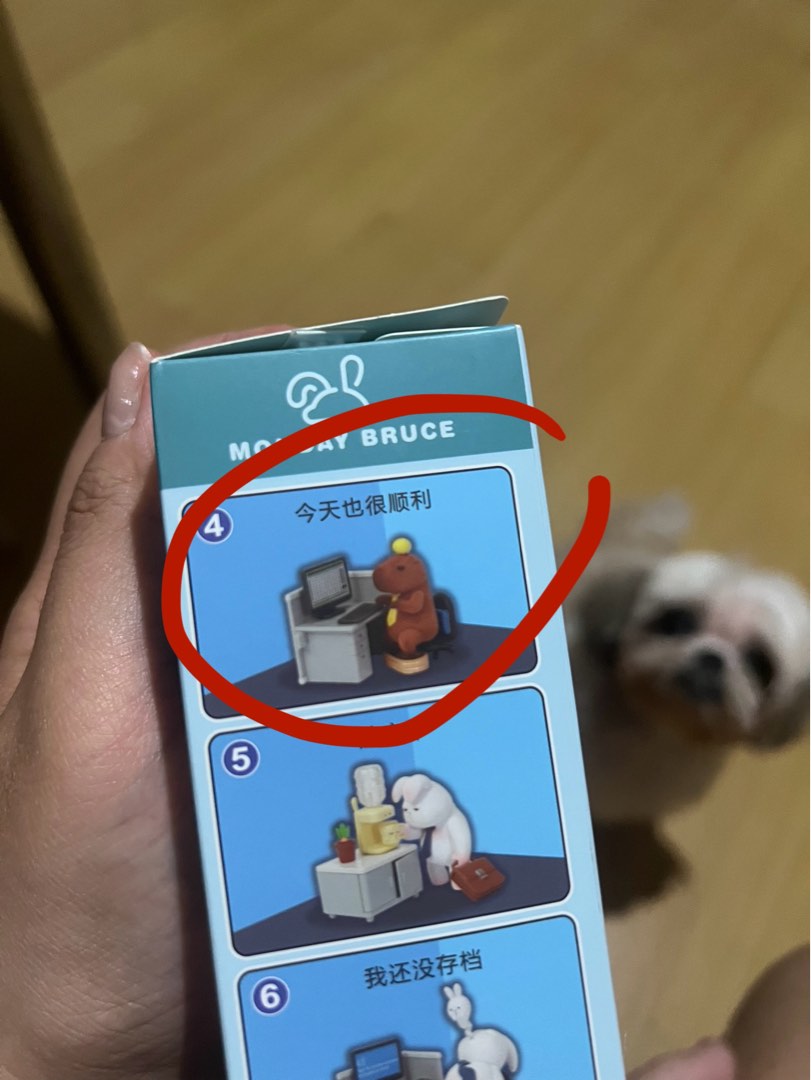 Monday Bruce - Capybara, Hobbies & Toys, Memorabilia & Collectibles ...