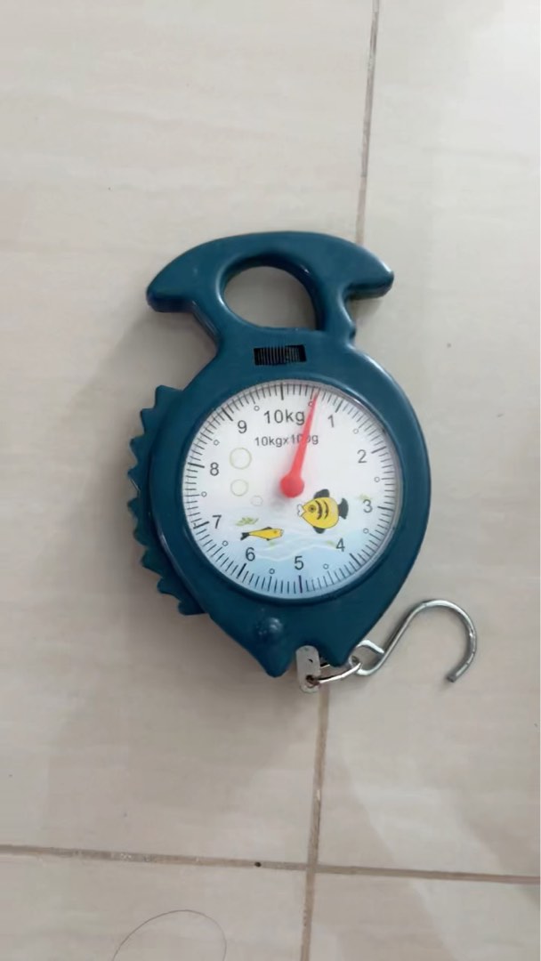 Portable Fishing Scale 10kg Capacity, Sports Equipment, Fishing on ...