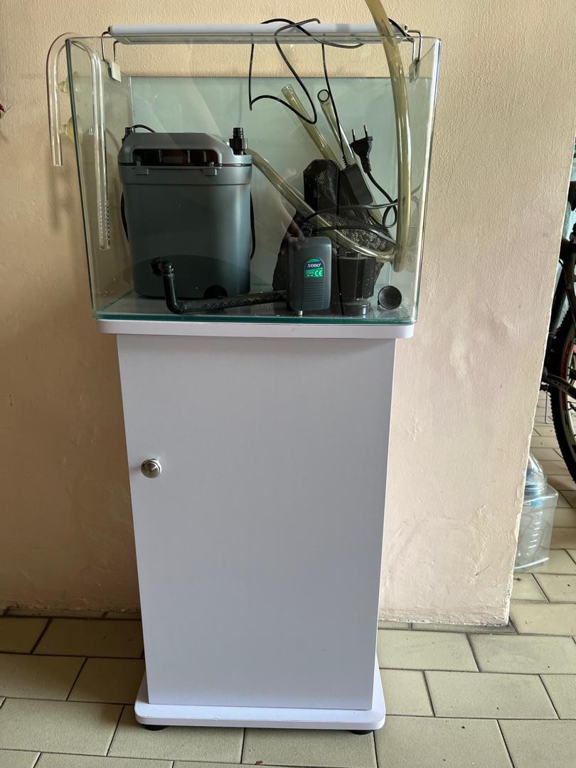 40 x 26cm curved tank + cabinet + CF300 filter + accessories ...