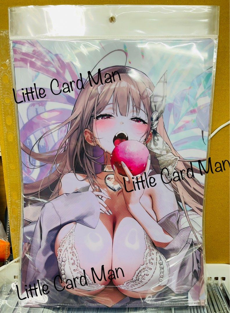 【店鋪現貨】勝利女神妮姬 NIKKE A4文件夾 毒蛇 灰姑娘 小紅帽【價錢詳情請參考商品描述】, 興趣及遊戲, 玩具 & 遊戲類 - Carousell