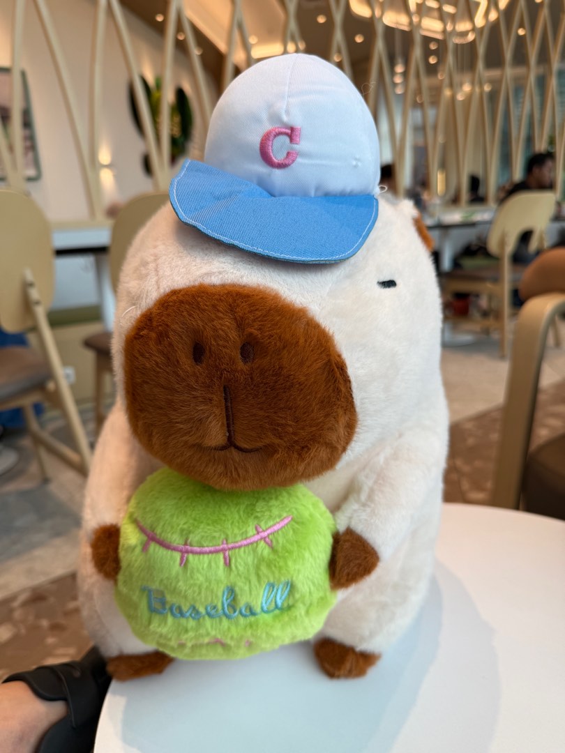 Jumbo Boneka Capybara Baseball, Toys & Collectibles, Mainan di Carousell