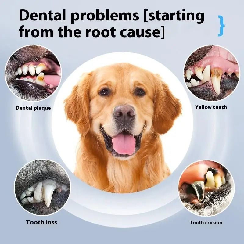 Dog Cat Grooming Smart Dental Ultrasonic Scaler Household Tooth Stone ...