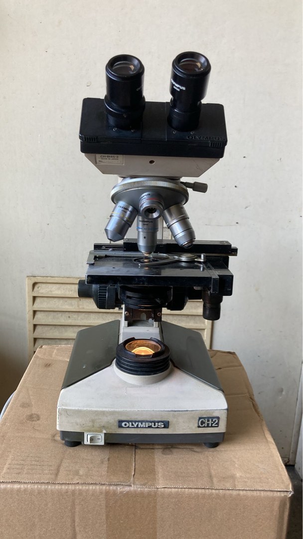 Olympus CH-2 CHT Binocular Microscope, Hobbies & Toys, Memorabilia ...
