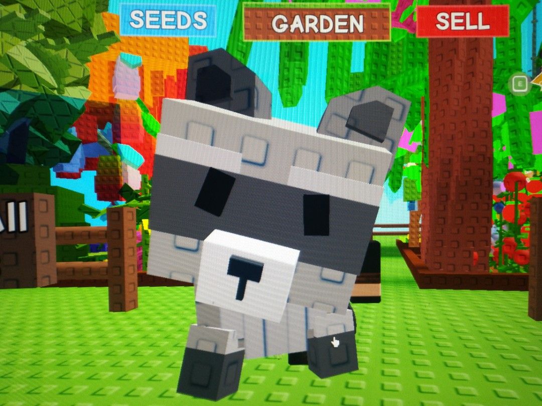 Raccoon in Grow A Garden, Video Gaming, Video Games, Others on Carousell