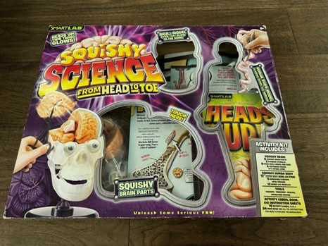 SQUISHY SCIENCE from Head to Toe (SmartLab toys) - large set, Hobbies ...