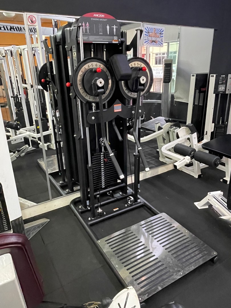 Standing multi flight lateral raise chest press down iron cross gym ...