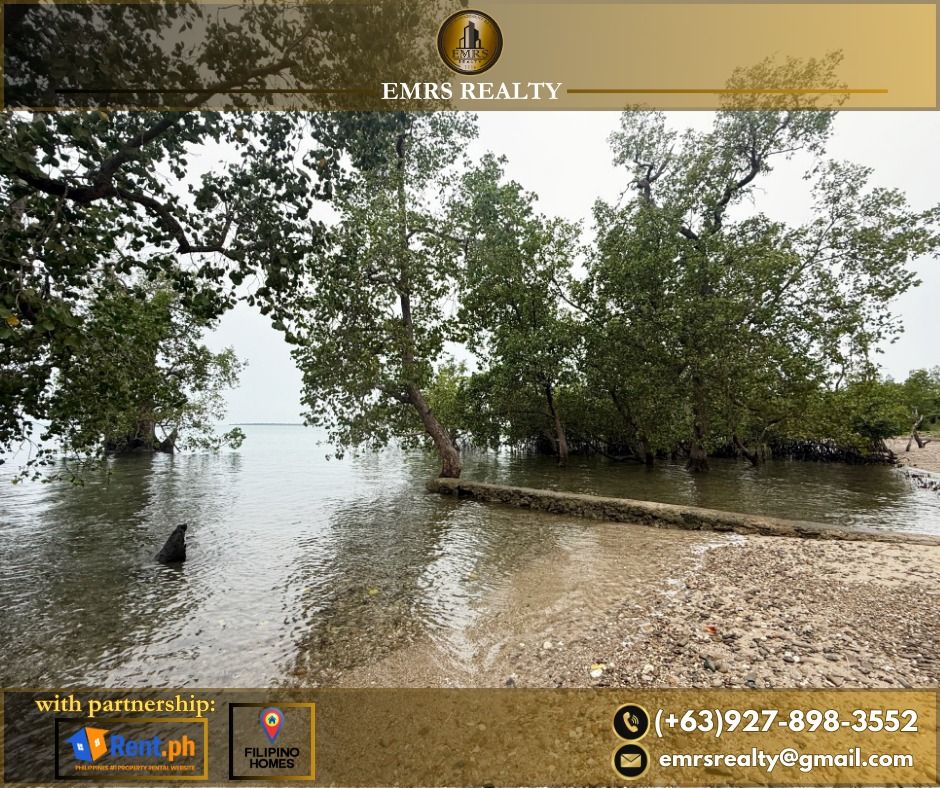 1 HECTARE BEACHFRONT LOT FOR SALE IN SAN RAFAEL, PUERTO PRINCESA CITY ...