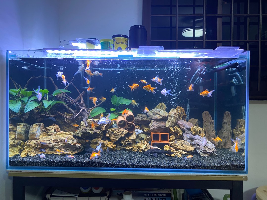 3 ft fish tank with stand cabinet, Pet Supplies, Homes & Other Pet ...