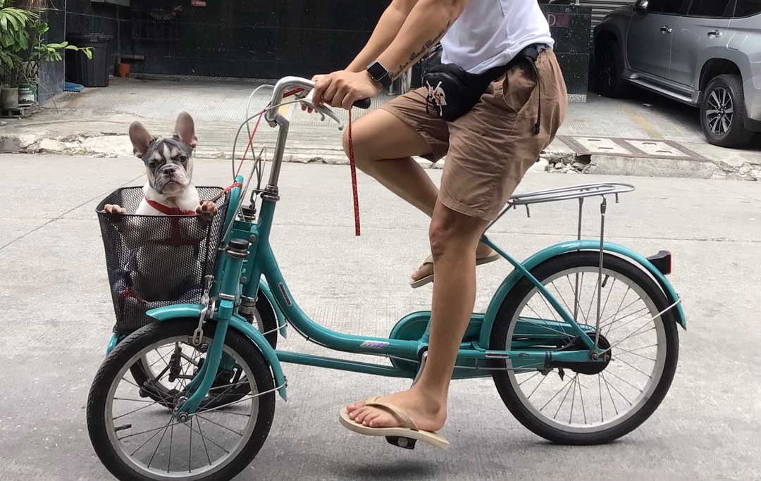 Bridgestone Minna three wheel Japan Surplus bike, Sports Equipment, Bicycles & Parts, Bicycles ...