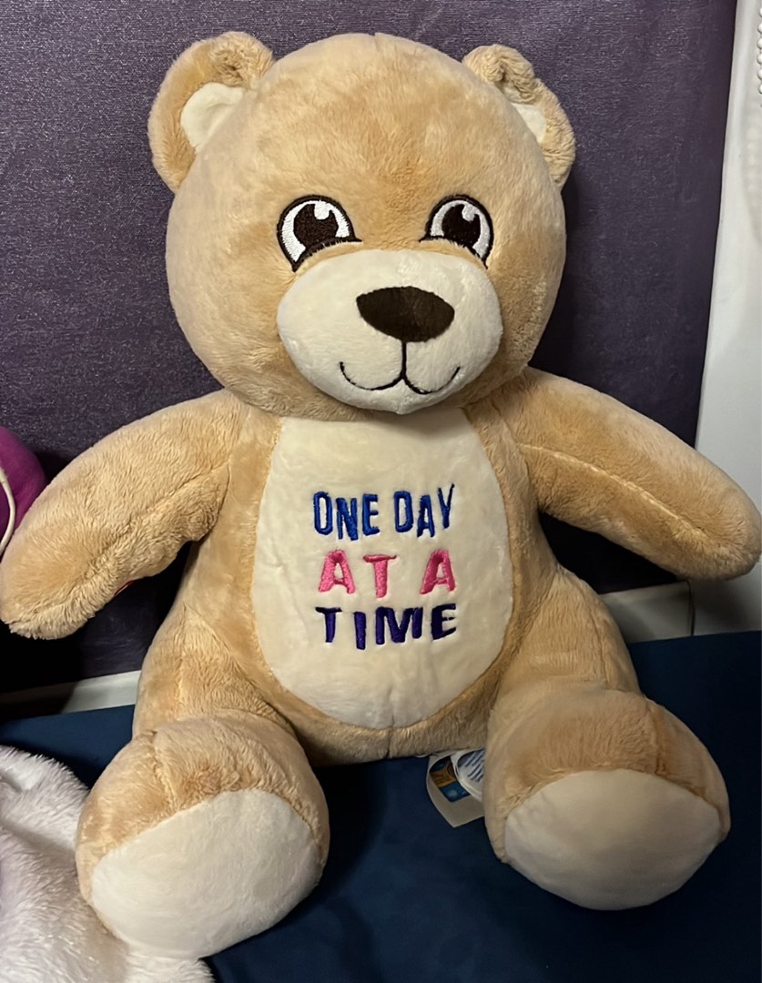 Build a Bear - allergy friendly velvet hugs teddy w/ embroidered quote ...