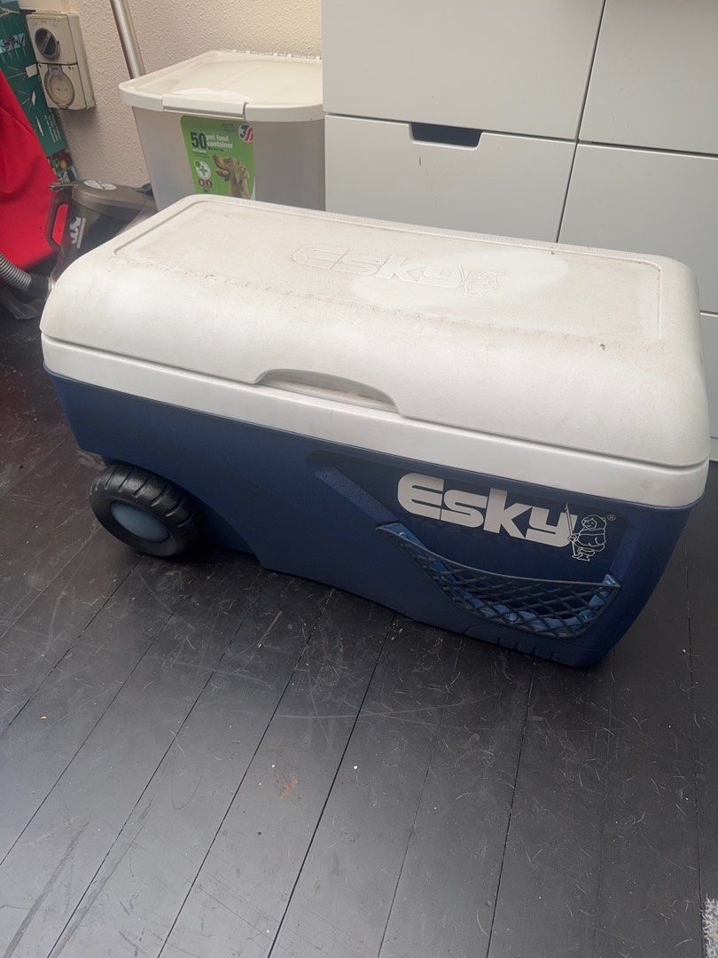 Esky Cooler, Furniture & Home Living, Home Improvement & Organisation ...
