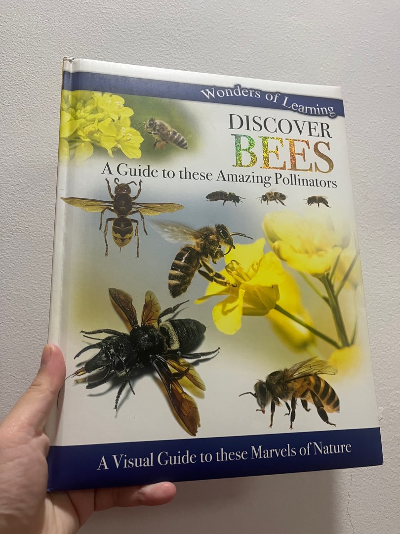 Learning Wonders Series, Hobbies & Toys, Books & Magazines, Children's ...