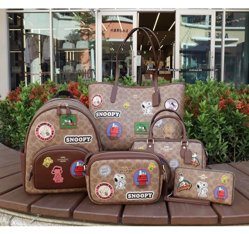 PO: Peanuts x Coach 2025 Tote, Crossbody, Teri Shoulder Bag, Wallet ...
