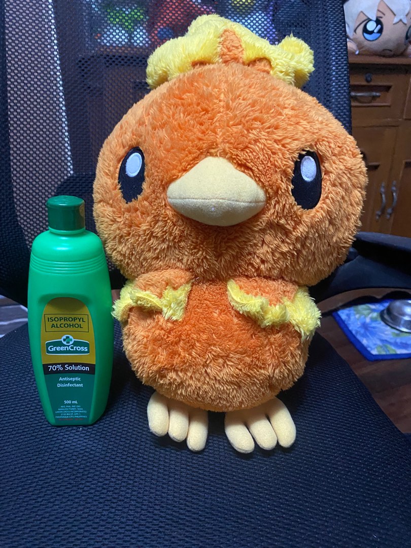 Pokemon Torchic Jumbo Plush, Hobbies & Toys, Toys & Games on Carousell