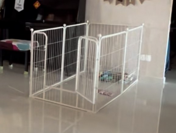 White Pet Gate System - Configurable for Pets, Babies & Kids, Baby ...