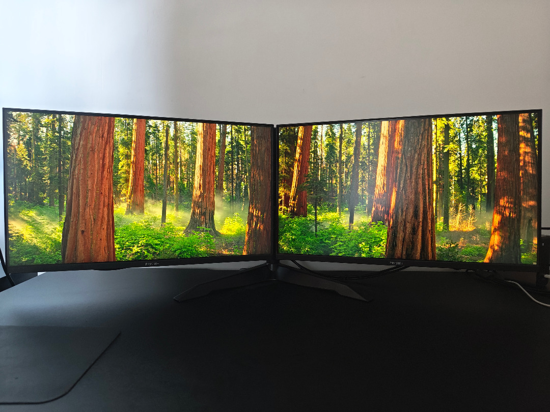 2 x Prism+ W240 PRO 24 inch WQHD Monitors on the dual monitor stand ...