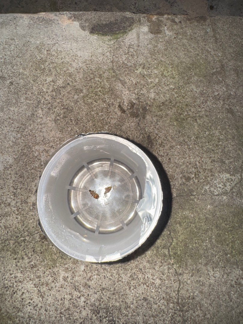 Fumigation Canister, Car Accessories, Accessories on Carousell