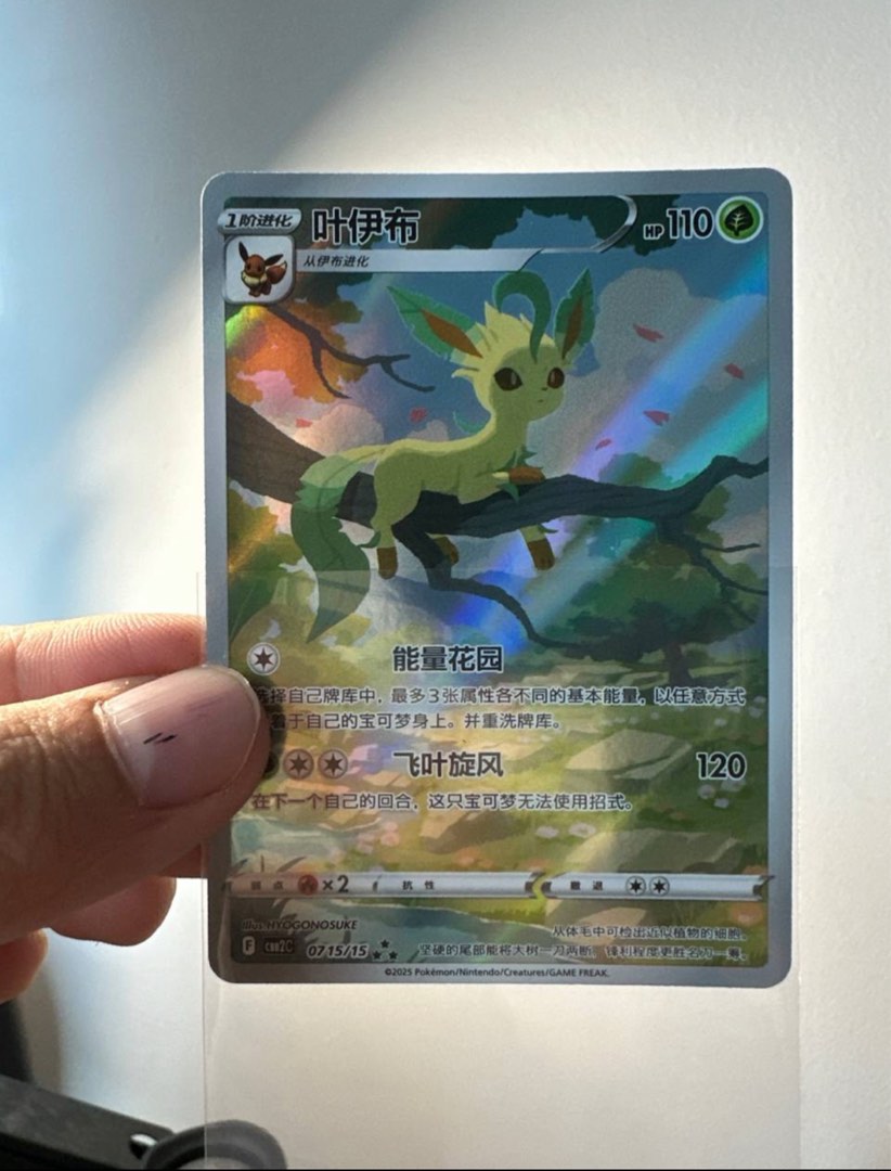 Leafeon Chinese Gem box 2, Hobbies & Toys, Toys & Games on Carousell