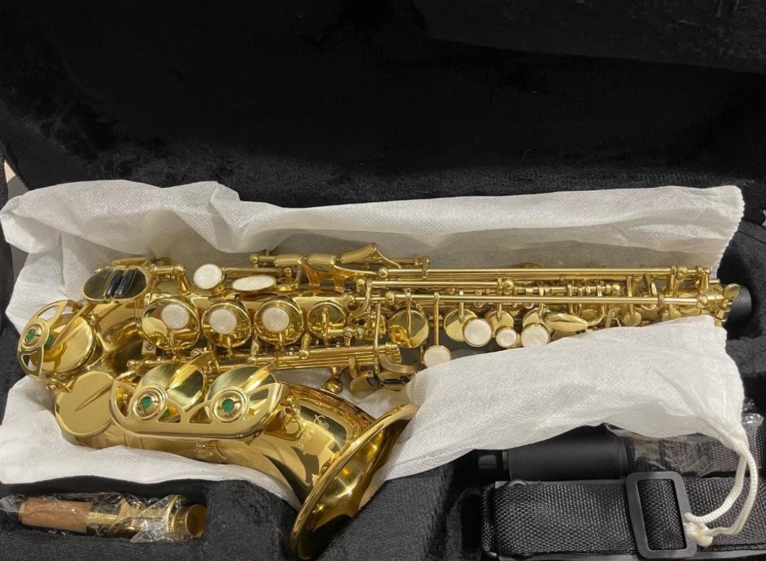 SLADE Saxophone Eb Alto Saxophone for Beginner Students, Saxaphone ...